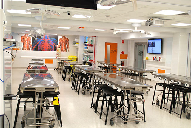 Gross Anatomy Facility - School of Biomedical Sciences - University of ...